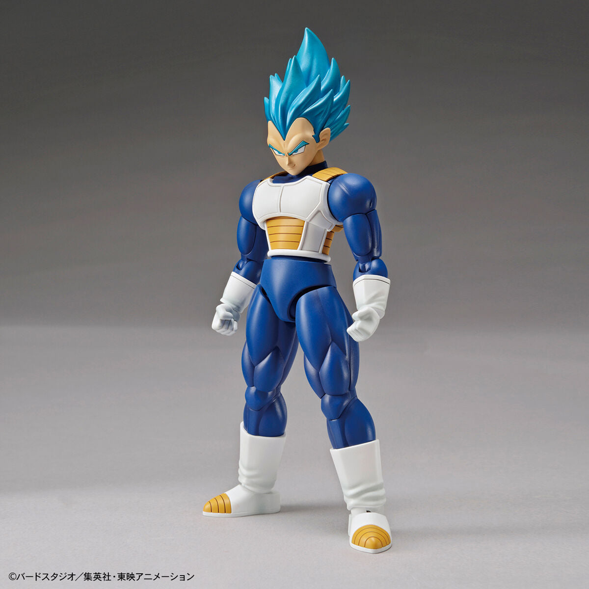 Dragon Ball - SSG Vegeta - Bandai Model Kit | Nippon Figures